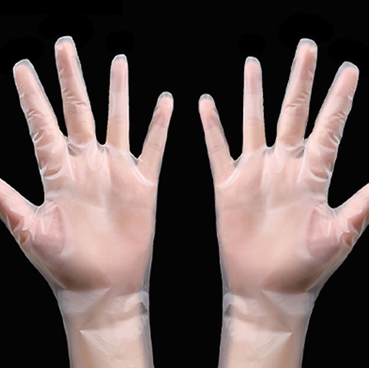 Disposable TPE Gloves – Professional PPE Manufacturing For Your Safety